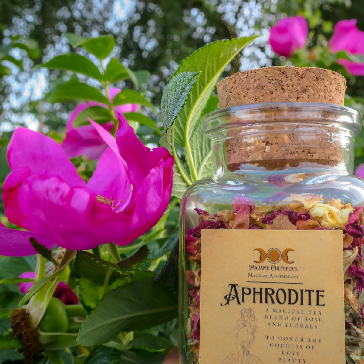 Aphrodite Herbal Tea – Madame Culpeper's